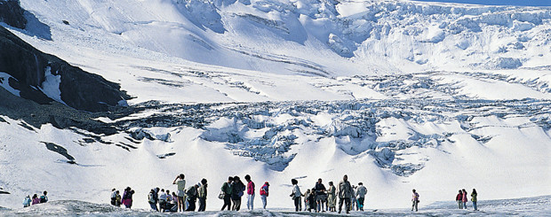 Winter Jasper Banff Tour - Jasper Adventure Centre.